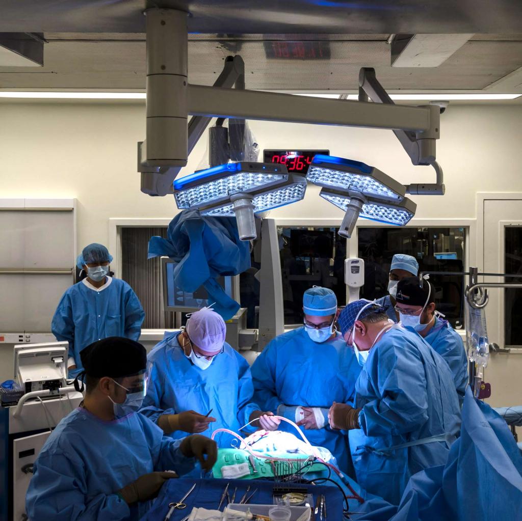 Nasopharyngeal Cancer | NYU Langone Health