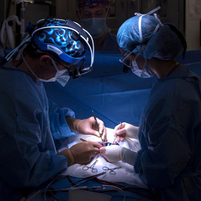 Pancreatic Cancer | NYU Langone Health