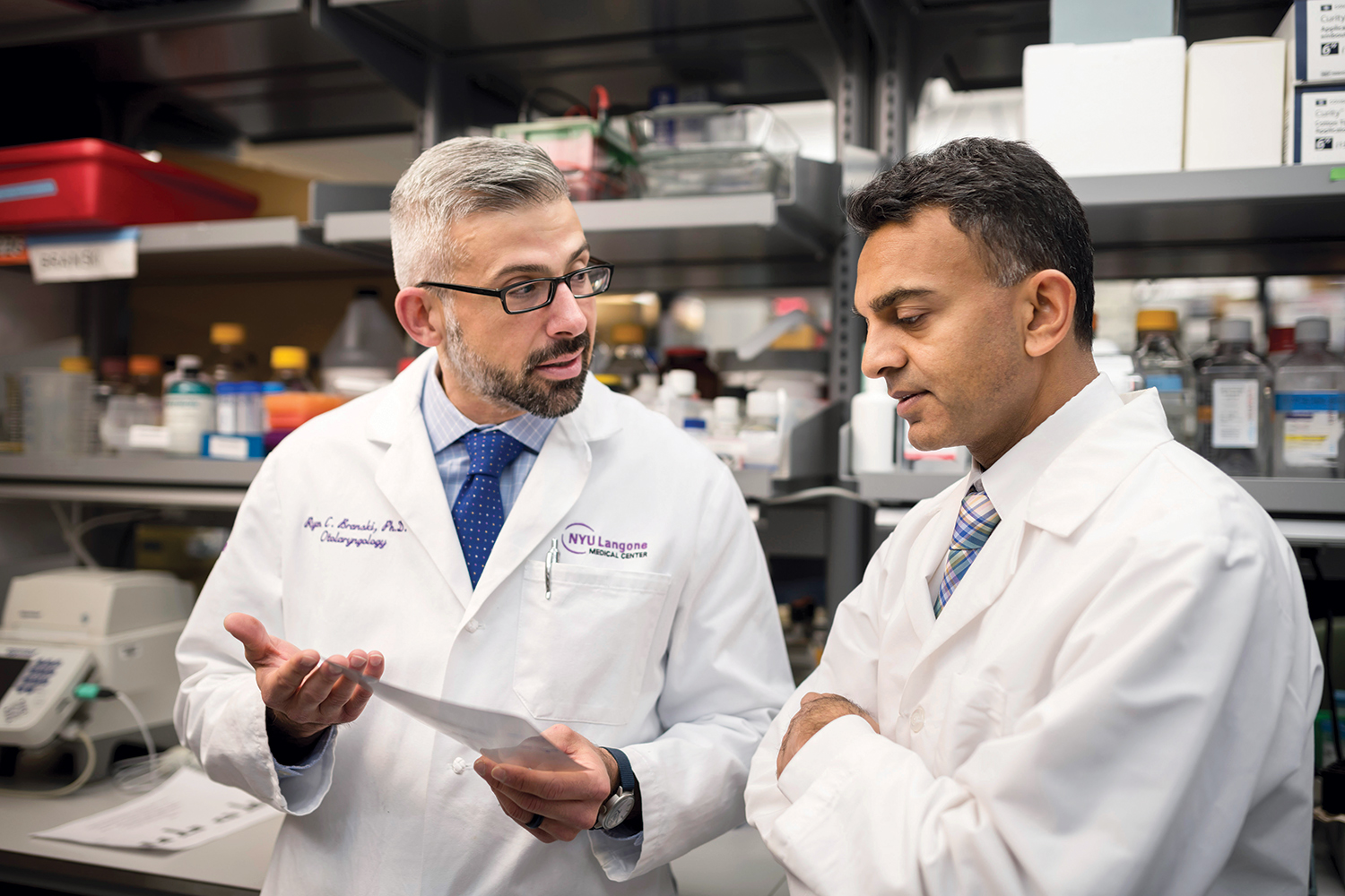 Groundbreaking Vocal Fold Insights Inform New Treatment Approaches ...