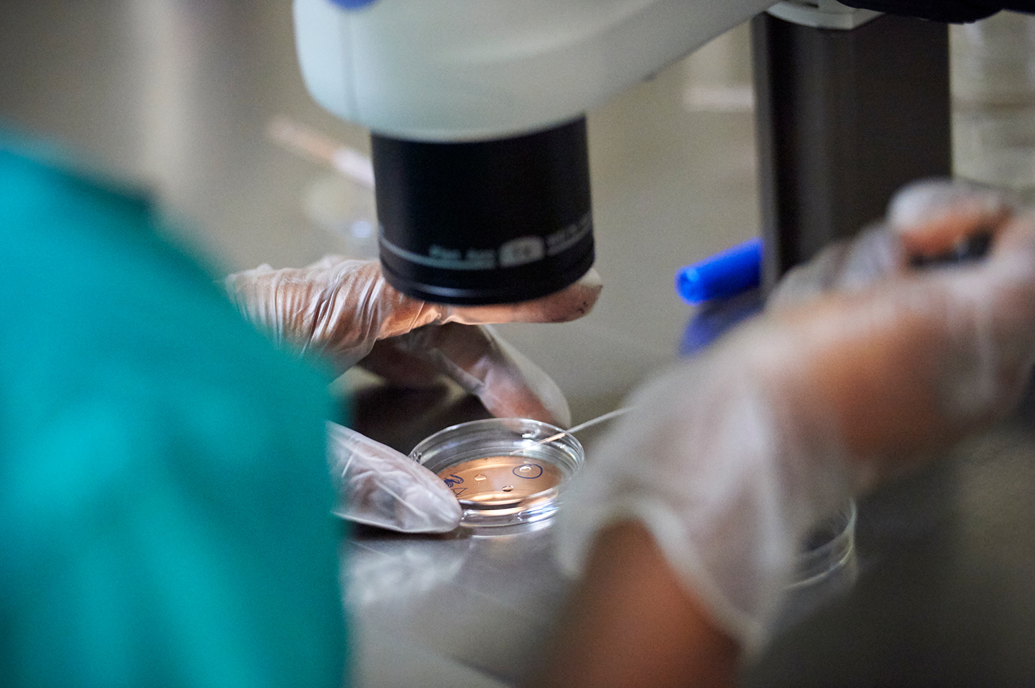 Cbs This Morning Ivf Testing Prompts Debate Over Mosaic Embryos