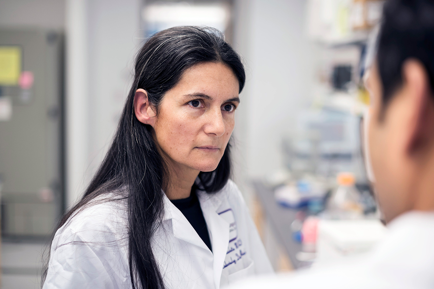 Shedding Light on Fat’s Role in Midlife Metabolic Decline | NYU Langone ...
