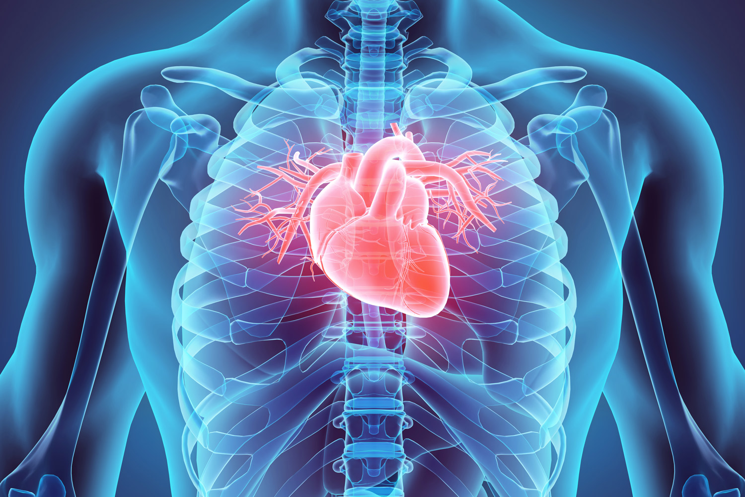 Cardiology Appointments Enhance NYU Langone Heart Program in Brooklyn ...