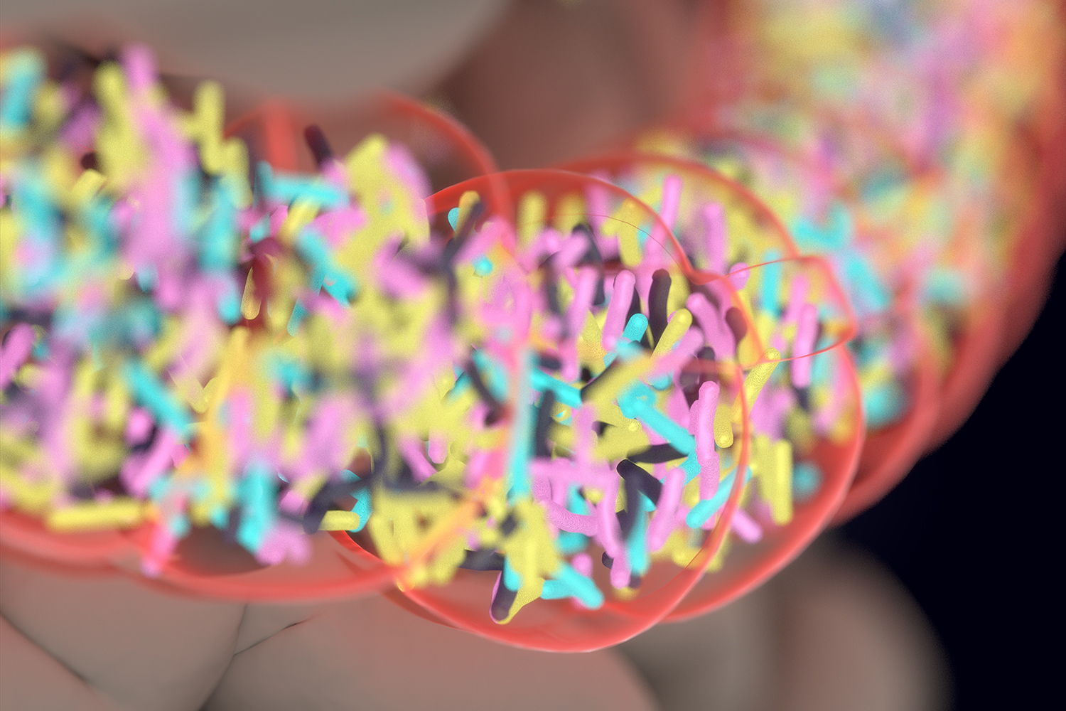 Lupus Strongly Linked to Imbalances in Gut Microbiome | NYU Langone News