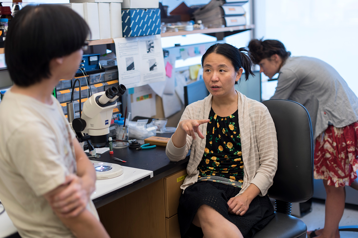 Study Shows How Moms’ Brains Are Hard-Wired to Gather Young | NYU ...