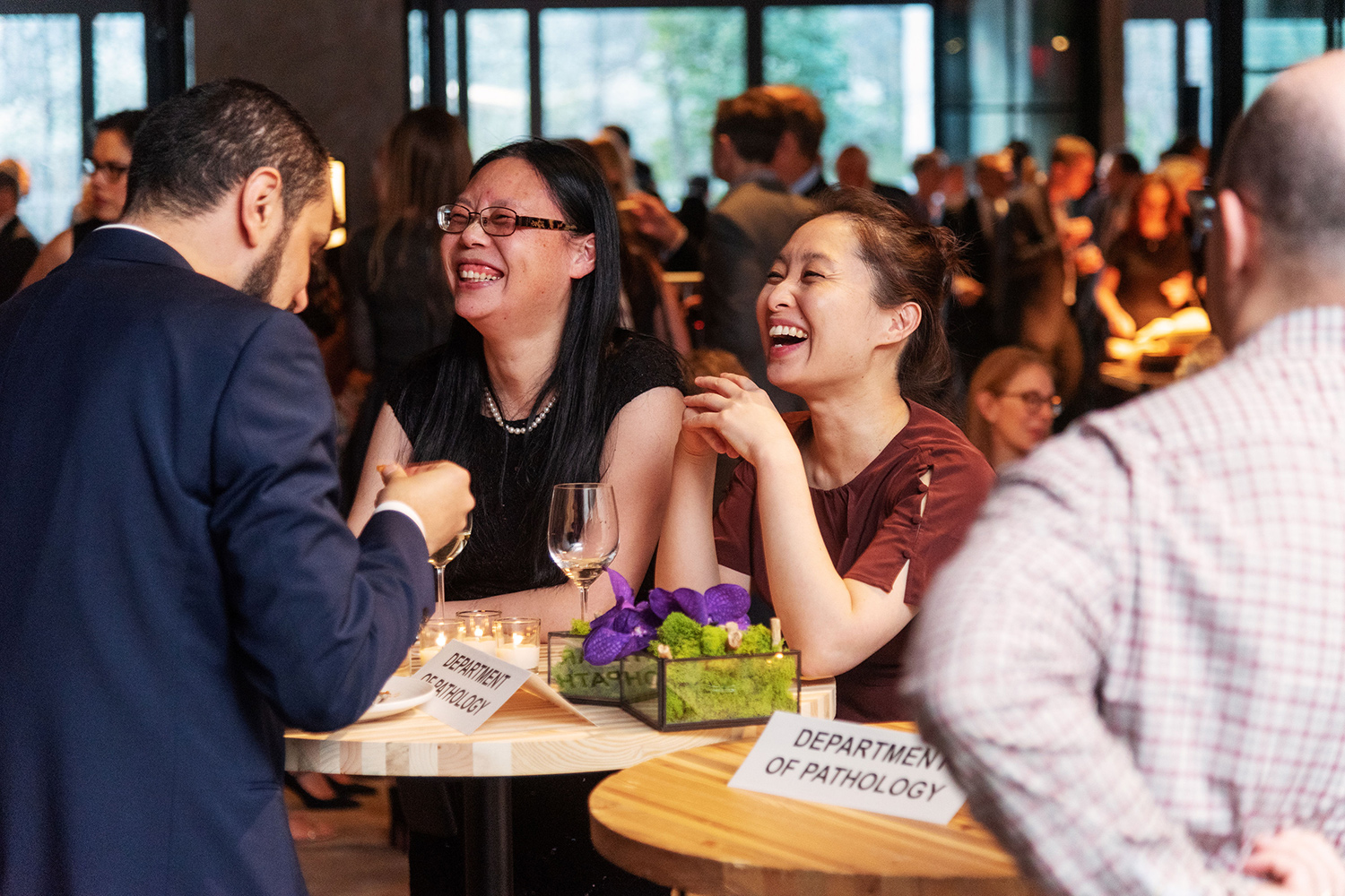 Inaugural Perlmutter Cancer Center—Live from Brooklyn Event Raises ...