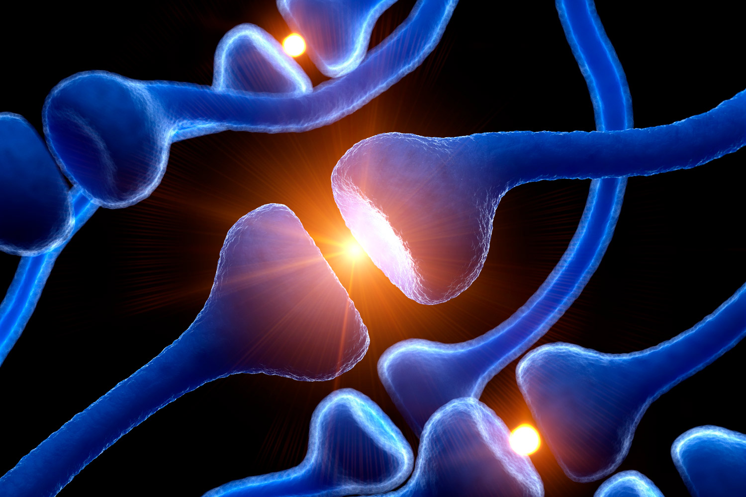 Researchers Identify Hidden Brain Signals Behind Working Memory | NYU ...