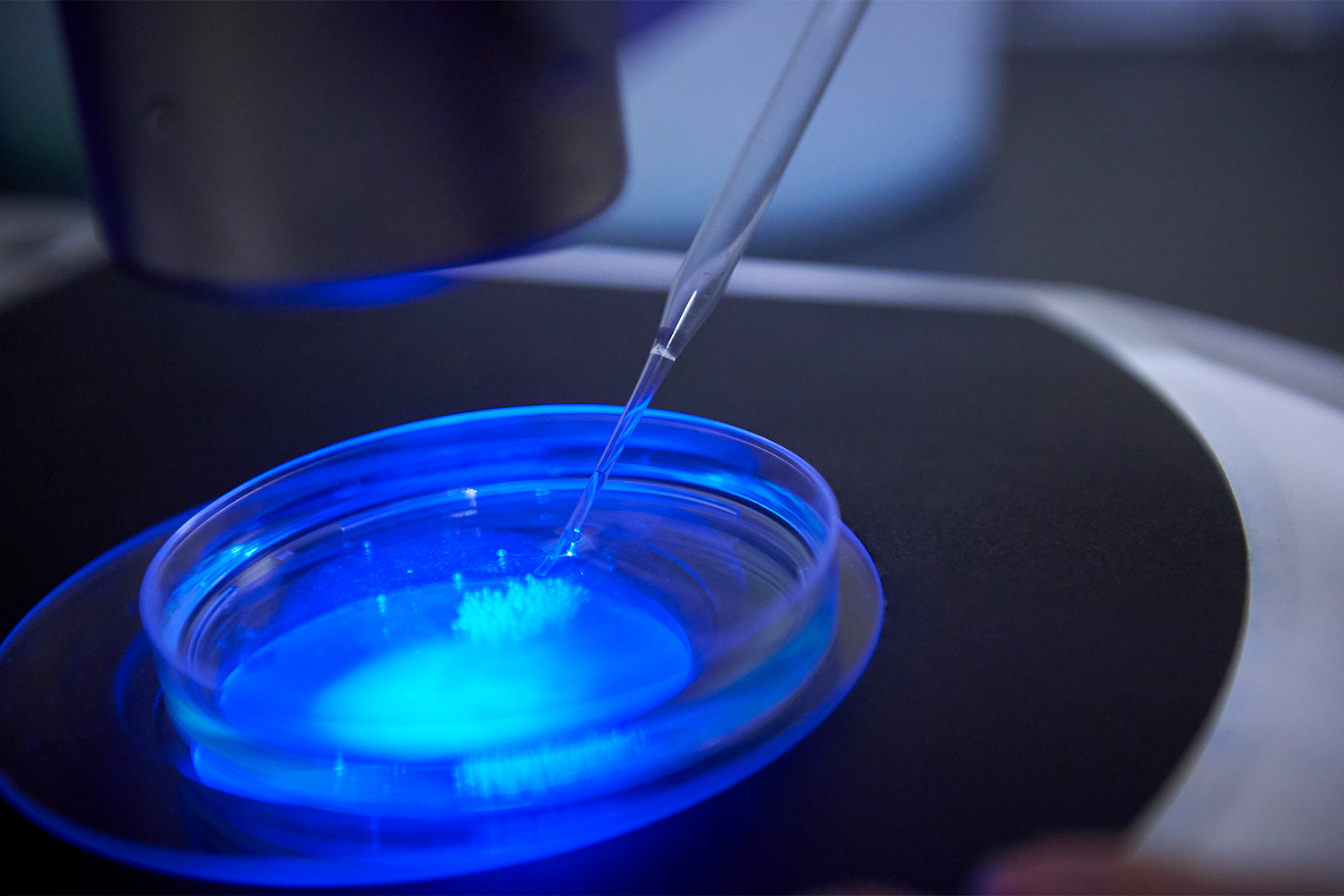 Synthetic Protein Scientist Transforms Laboratory Discoveries into ...