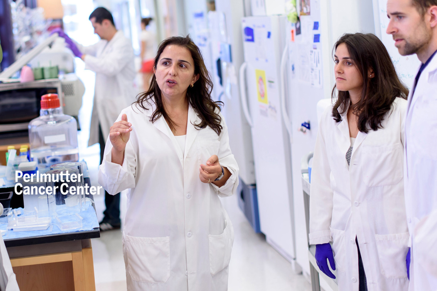 American Cancer Society’s TheoryLab: Two Perlmutter Cancer Center Scientists Discuss Melanoma ...