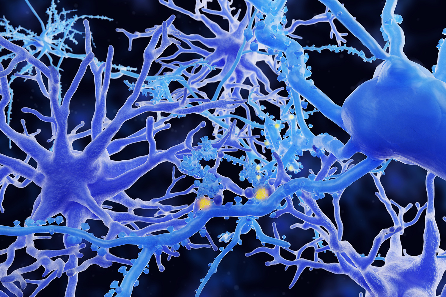 NYU Langone Health Launches Parekh Center for Interdisciplinary ...