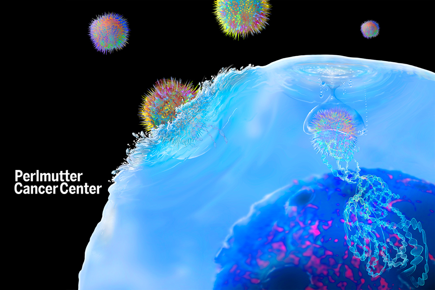 Perlmutter Cancer Center Launches Logic-Gated Solid Tumor CAR T Cell ...