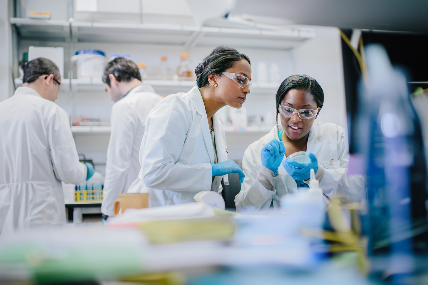 NYU Grossman School of Medicine & Sarah Lawrence College Launch ...