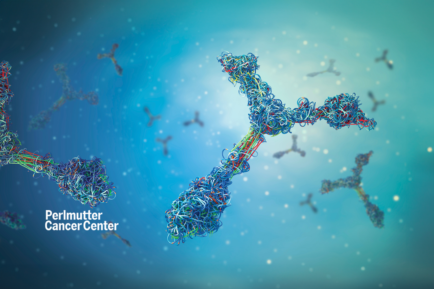 ‘Double Life’ of Key Immune Protein Reveals New Strategies for Treating ...