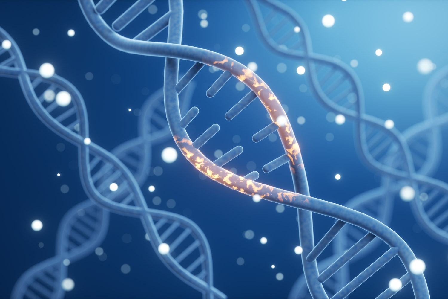 A Synthetic Gene Helps Explain the Mysteries of Transcription Across ...