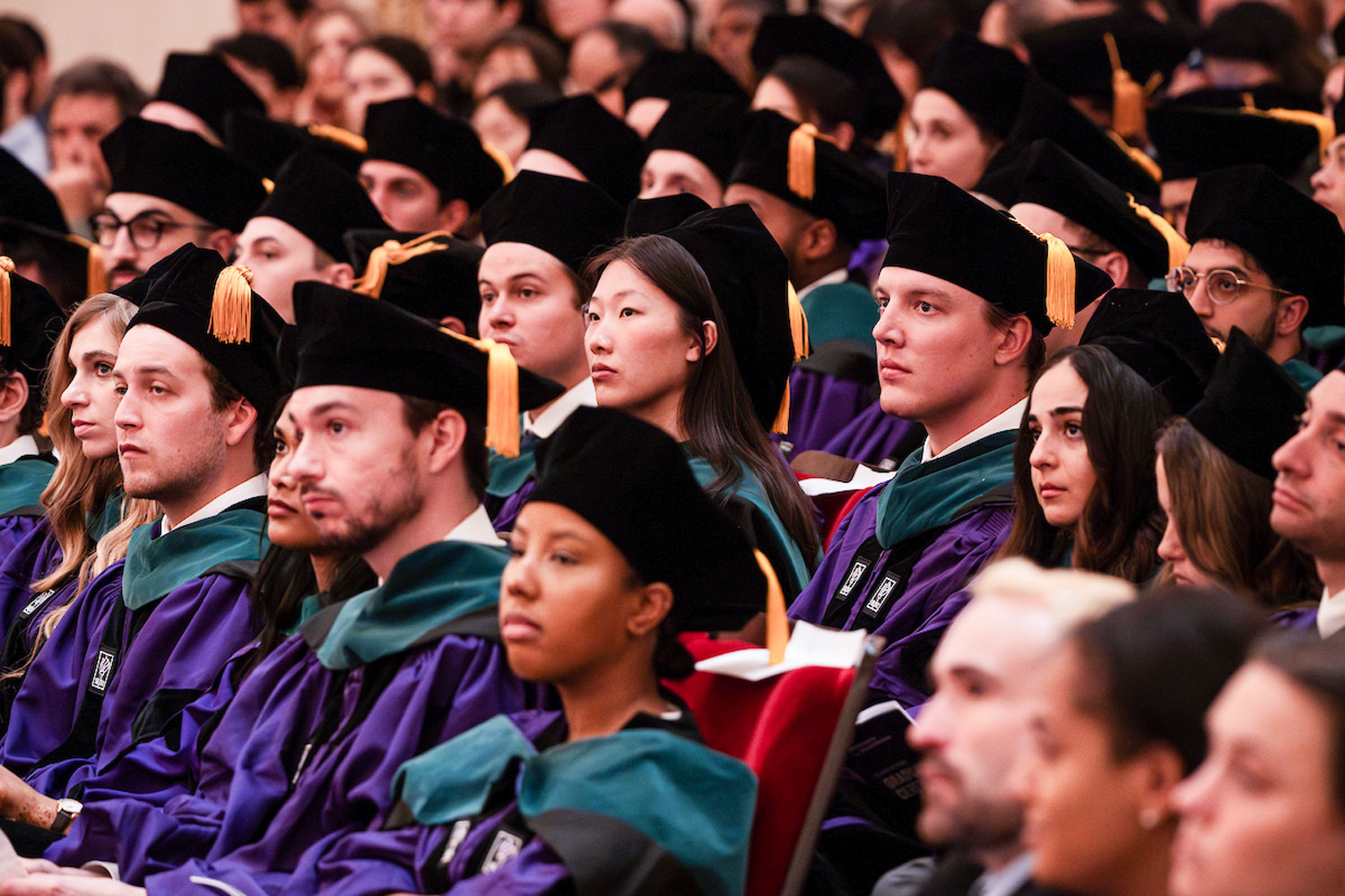 Congratulations to the Class of 2025: NYU Grossman School of Medicine’s ...