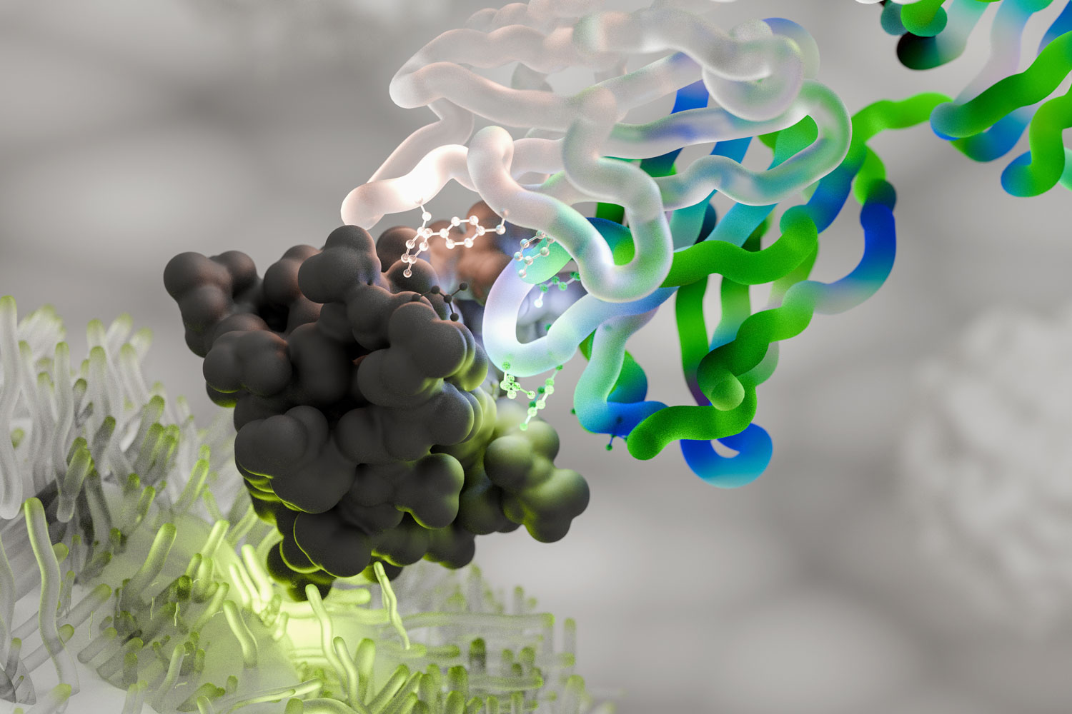 Immunotherapy After Surgery Shows Promise in Treating Rare, Aggressive ...