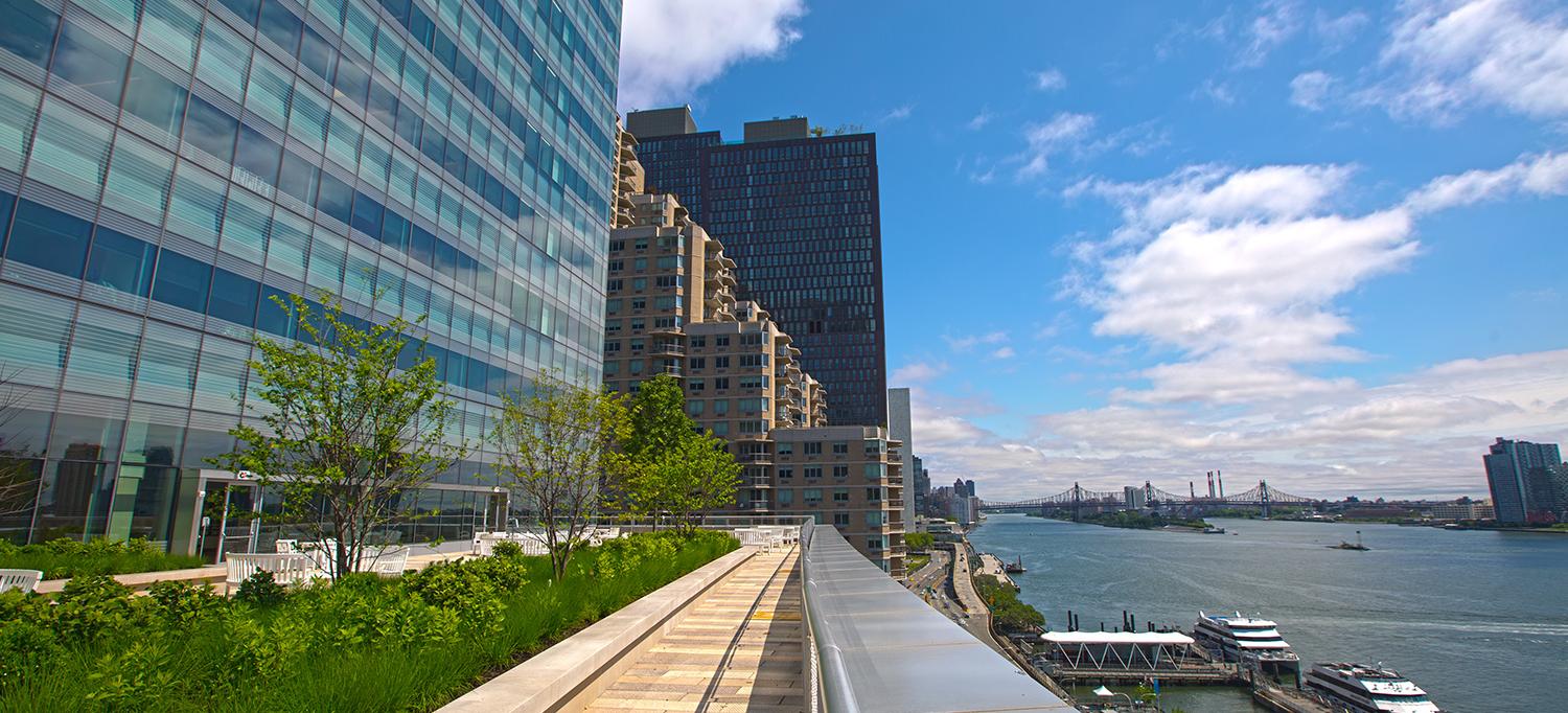 NYU Langone Joins U S Health Care Climate Council NYU Langone News NYU Langone Joins U S Health Care Climate Council NYU Langone News