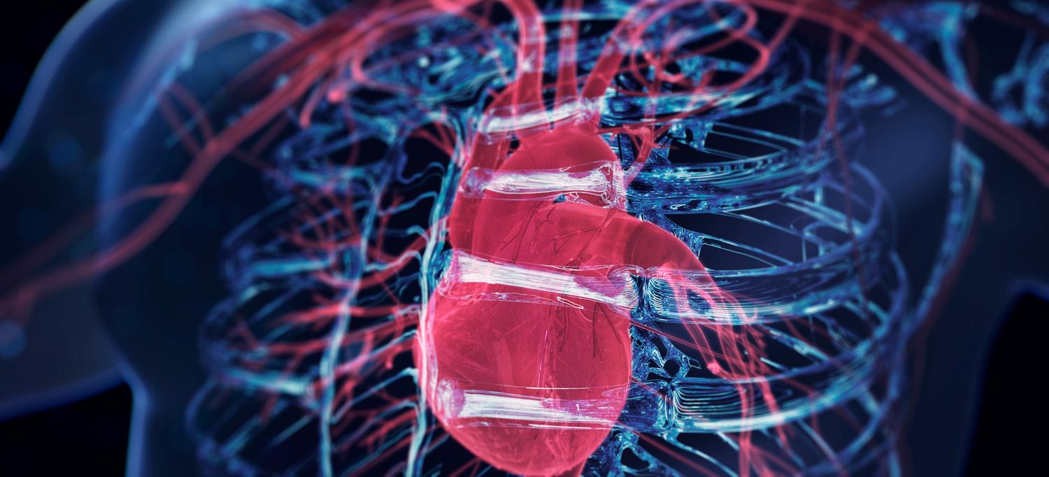 More Organ Donations Now Come from People Who Die After Their Heart ...