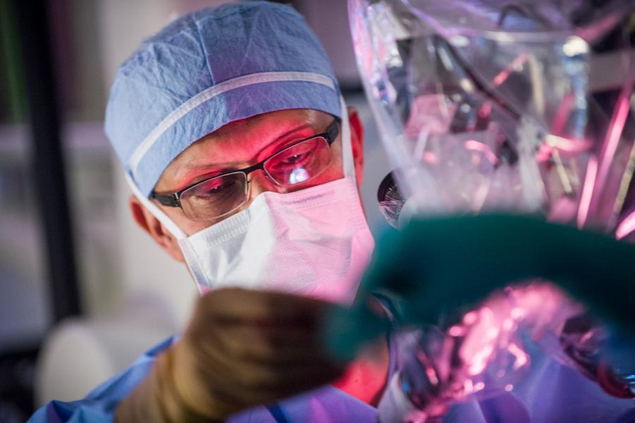 Department of Neurosurgery | NYU Langone Health