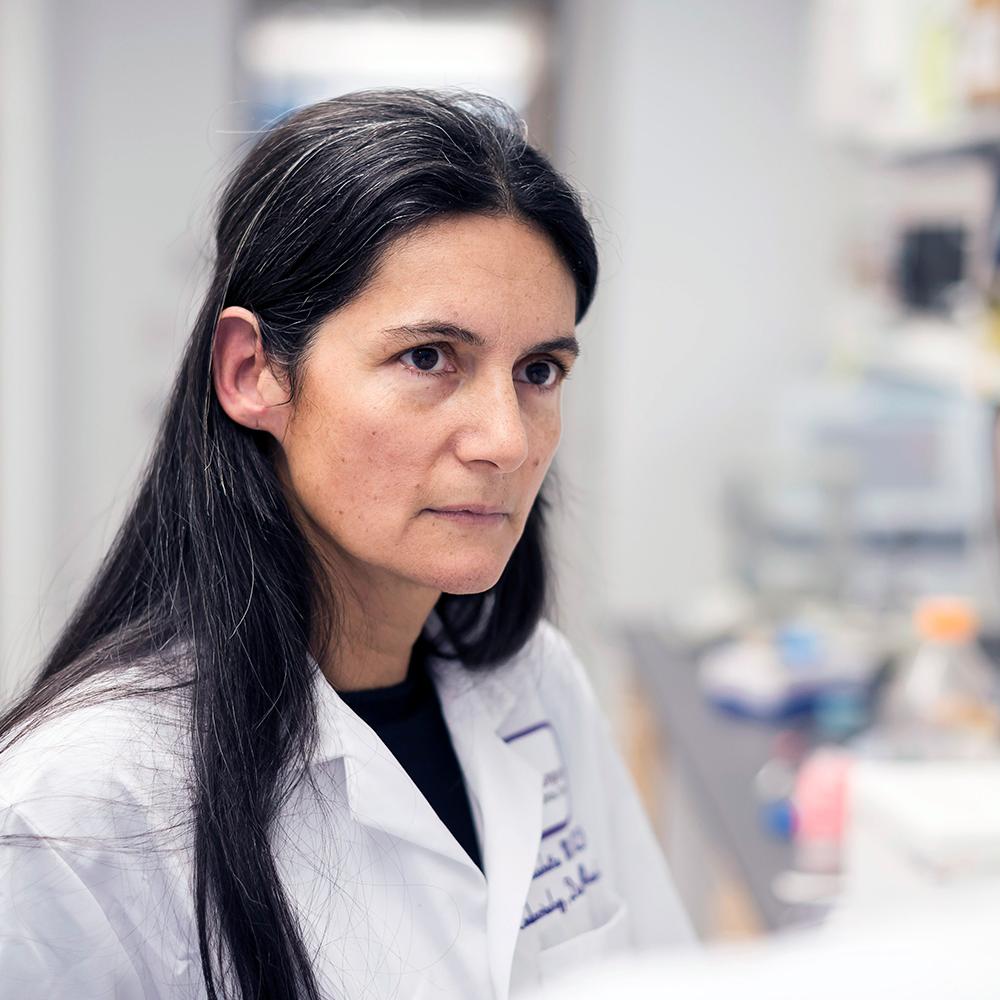 Endocrinology 2018 Year in Review | NYU Langone News