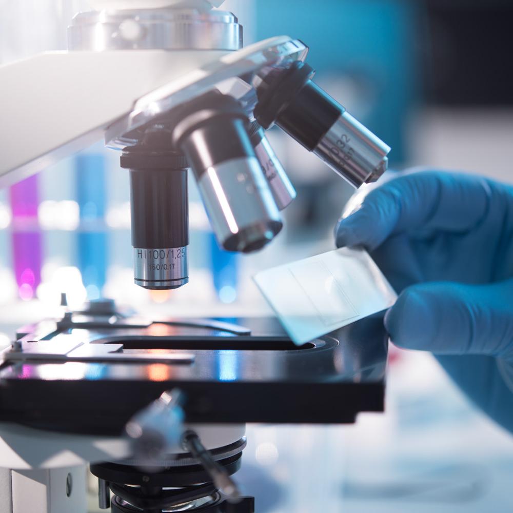 NYU Langone Health NewsHub | NYU Langone News