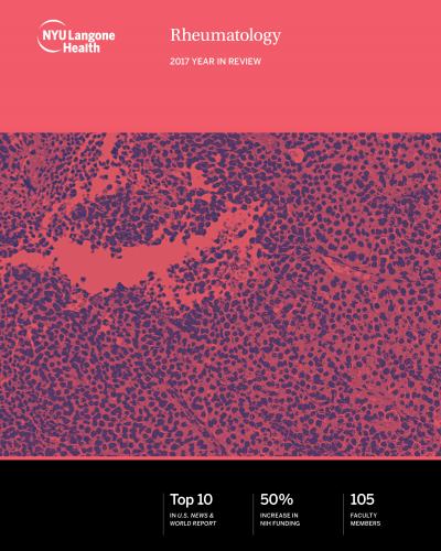 Rheumatology Year In Review Nyu Langone News